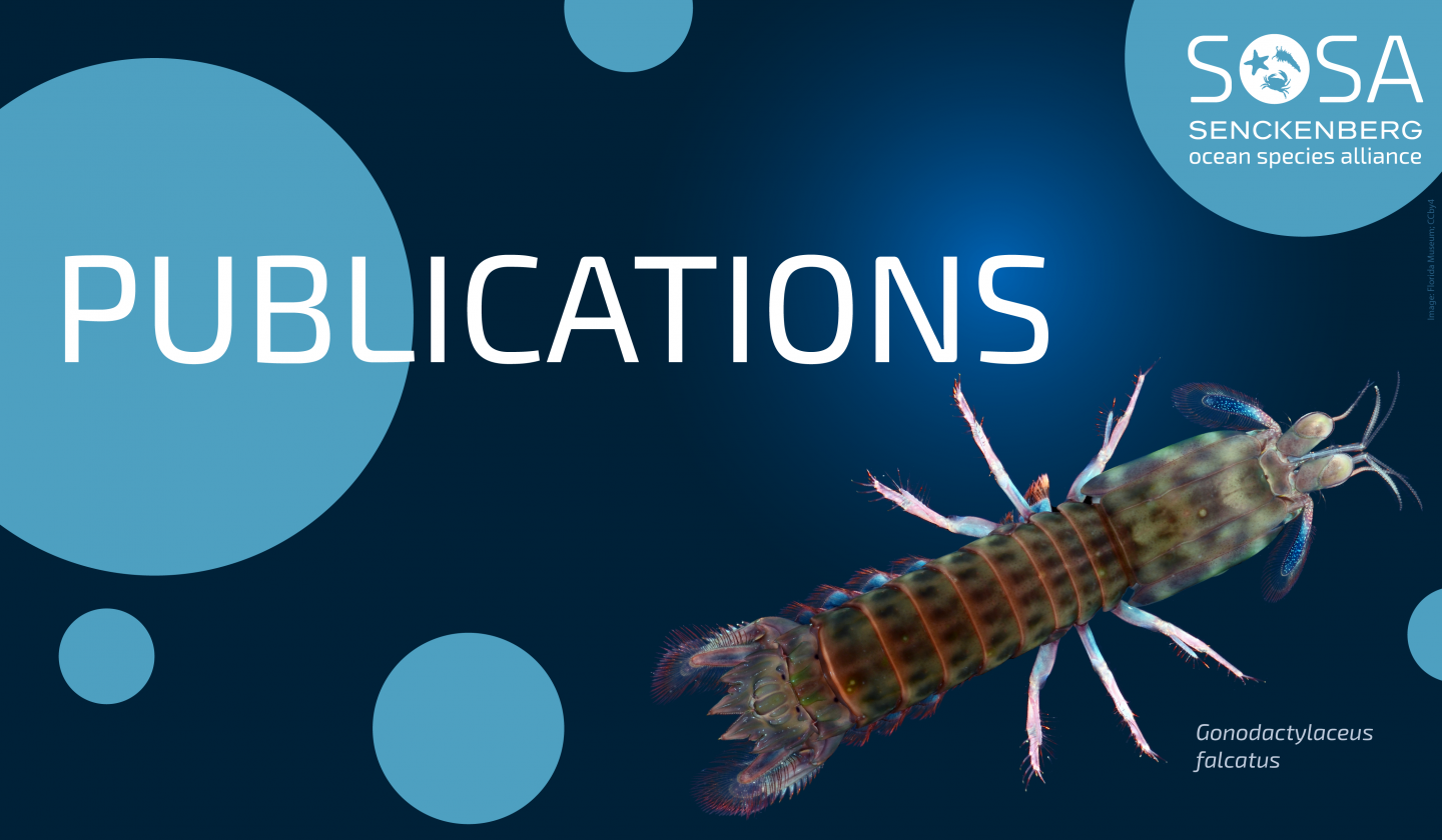 Publications | SOSA Project