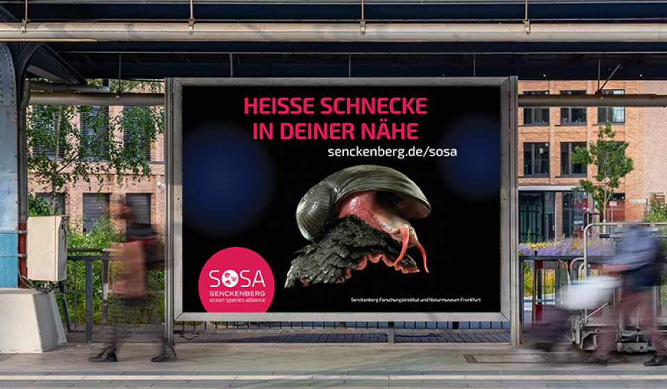 Billboard Campaign | SOSA Project