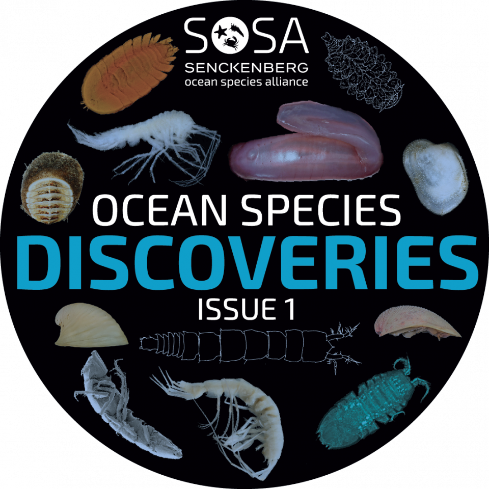 Ocean Species Discoveries | SOSA Project